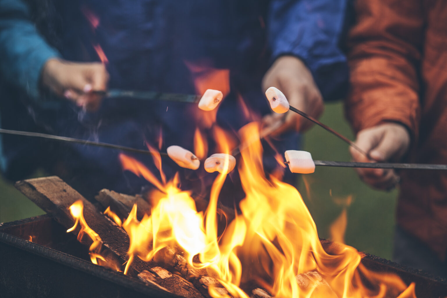 Backyard Safety Guide | Merchants Insurance Group
